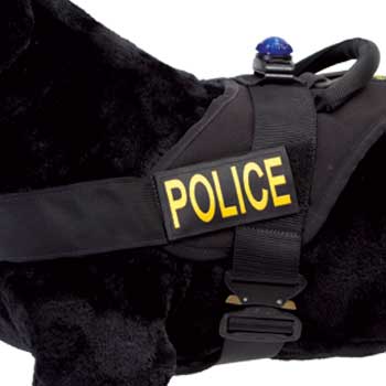 Guardian K9 Light - Blue