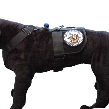 Combat Harness with plastic cop-lock buckle