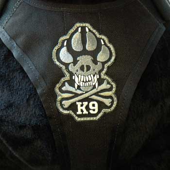 Combat Harness with plastic cop-lock buckle